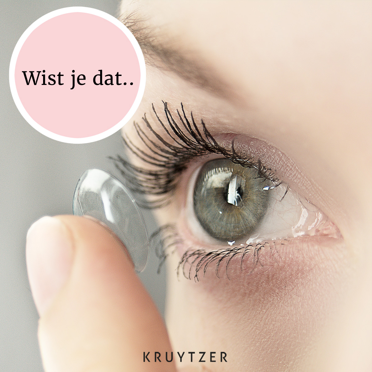 Wist je dat ... | Kruytzer